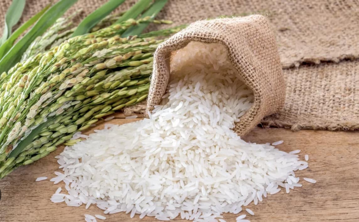 Riz : la demande d’importation en baisse en Afrique de l’Ouest