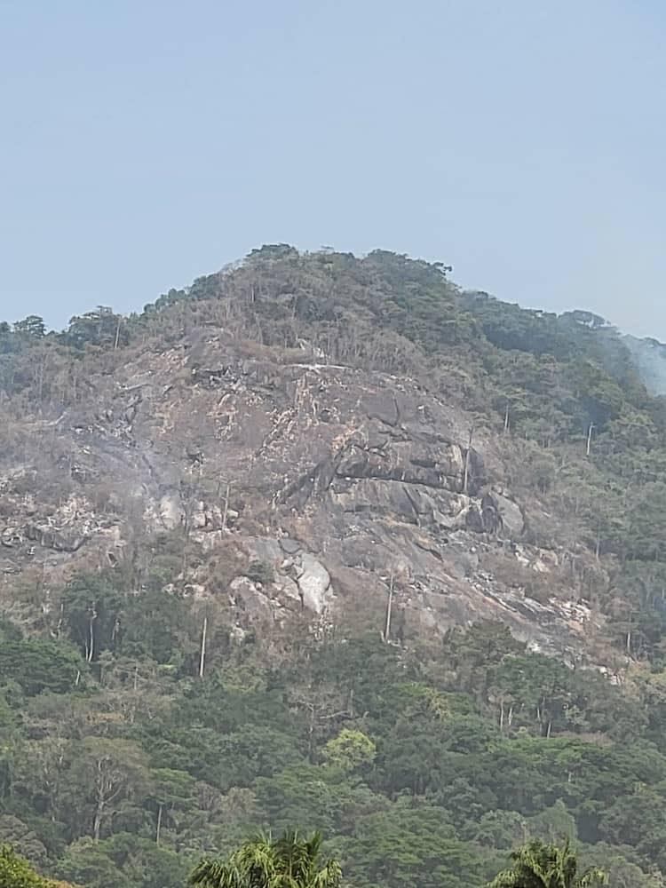 Incendie dans la réserve de biosphère de Ziama : Le Ministère de l ...